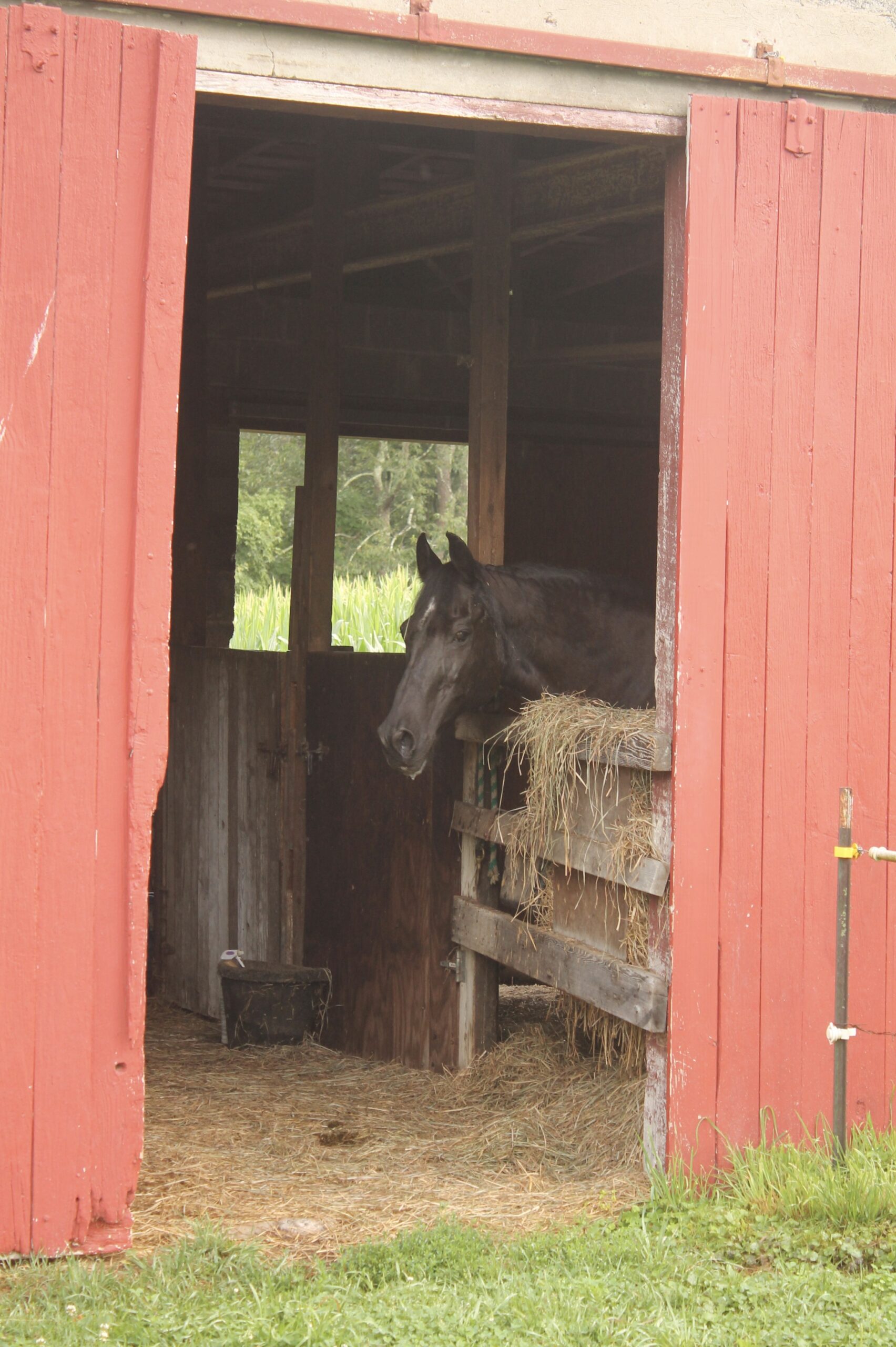 Photography – Mary Wetherbee